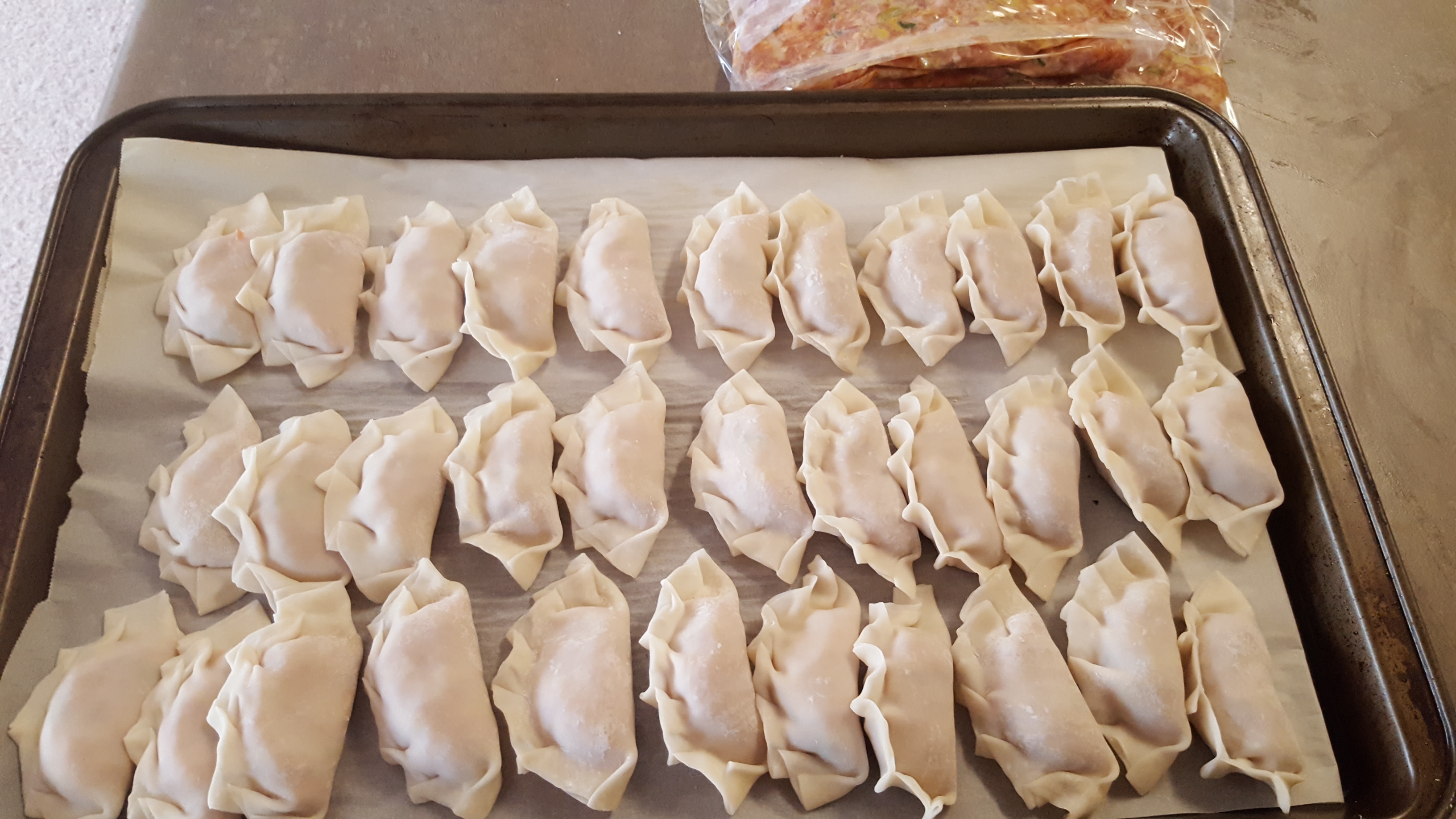 Gyoza – Leels Cooks